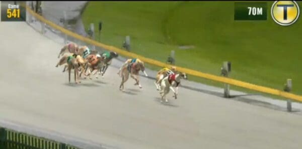 Want To Try A Wager With Thrill? Try Trackside | Narromine USMC